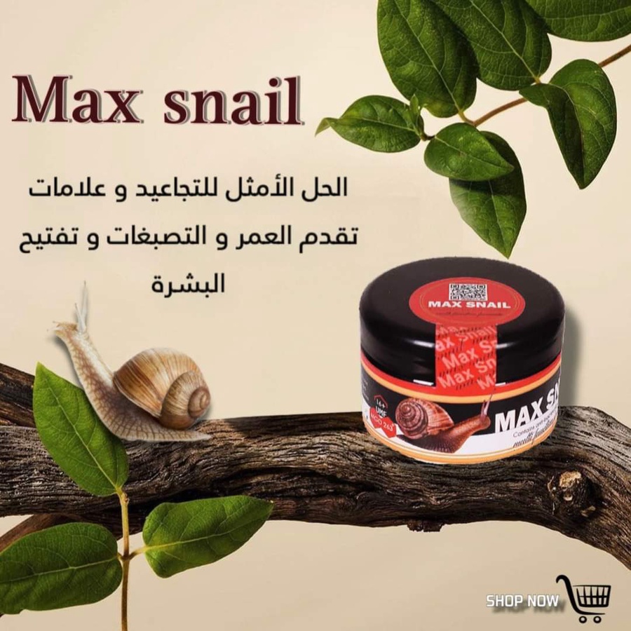 جل الحلزون max snail