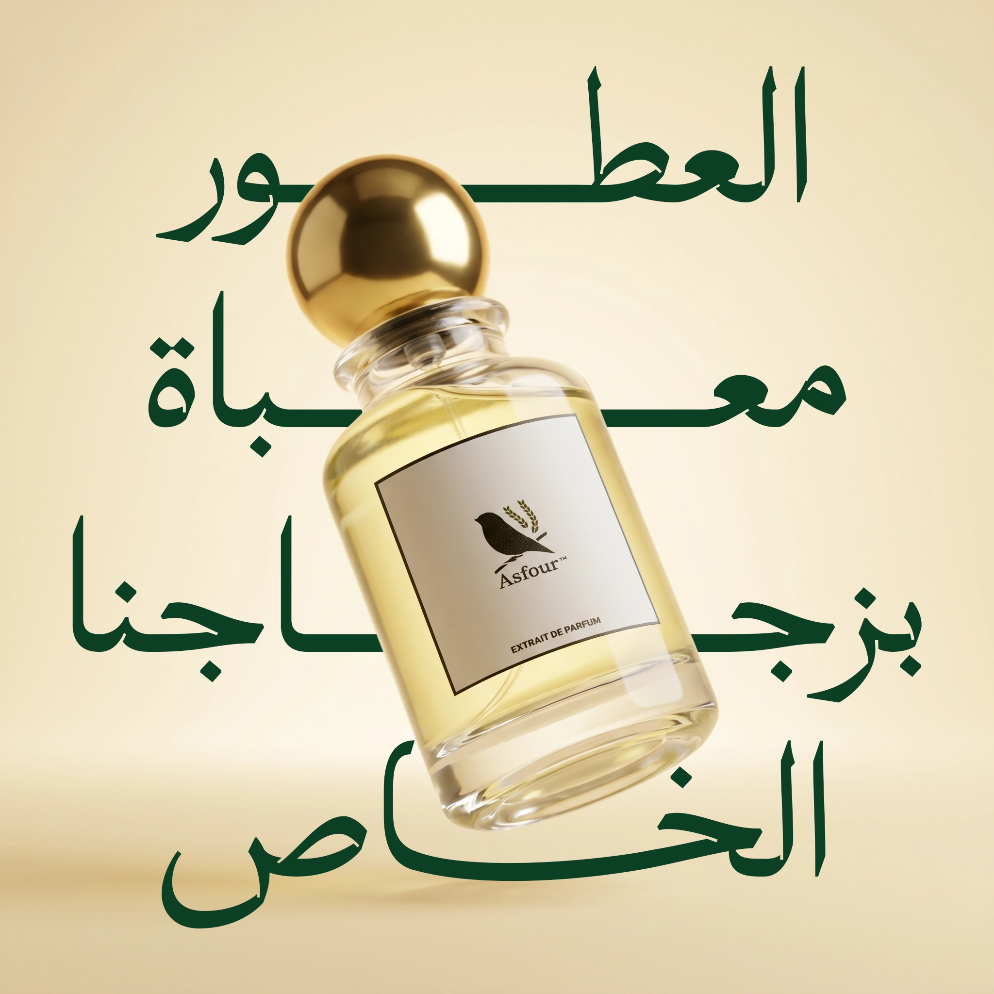 ليتون دي مارلي | Layton de Marly